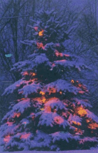 쥴리어드 트리오 - X-mas (Tape) - 예문 | 갓피플몰